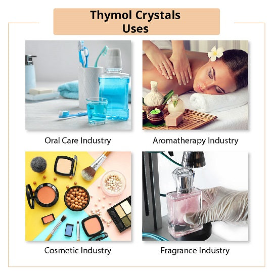 Buy Thymol Crystal Online at Wholesale Price in USA | Thymol Crystal Bulk Supplier – VedaOils USA