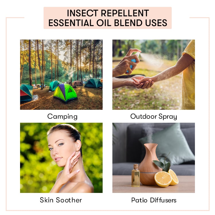 Buy Insect Repellent Essential Oil Blend Online in USA | Insect Repellent Essential Oil Blend ...