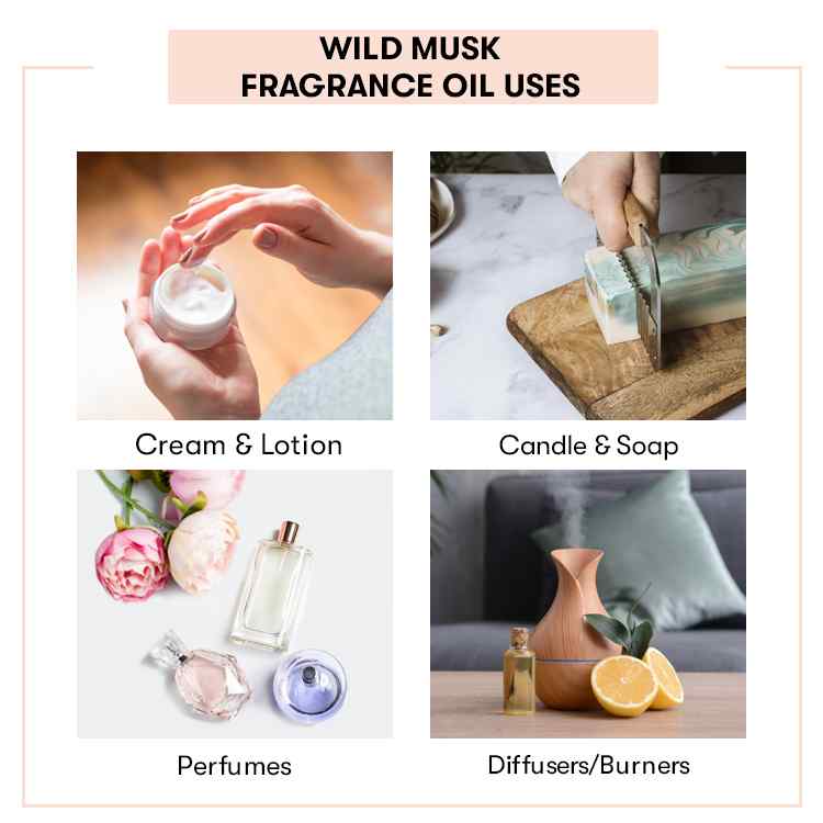 Buy Wild Musk Fragrance Oil Online In Usa Bulk Manufacturer