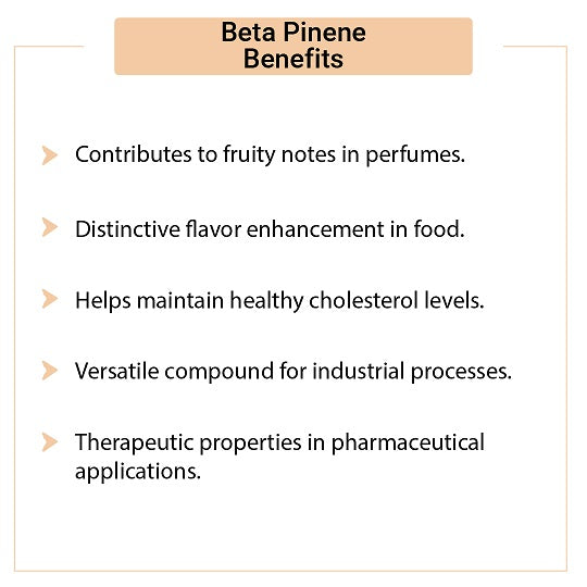Buy Beta Pinene Online at Wholesale Price in USA | Beta Pinene Bulk ...