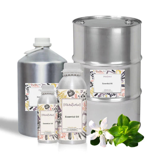 Buy Buchu Oil - 100% Pure & Organic Buchu Essential Oil – VedaOils USA