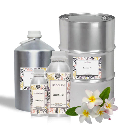 Frangipani Oil - 100% Pure & Natural Frangipani Essential Oil ...