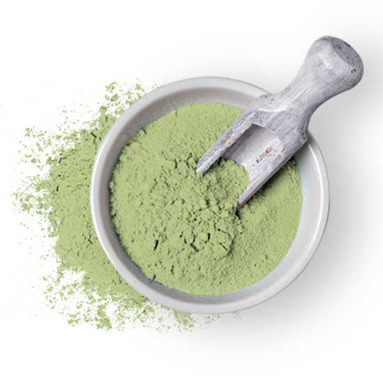 Glacial Marine Clay Powder - 100% Pure & Natural at VedaOils – VedaOils USA